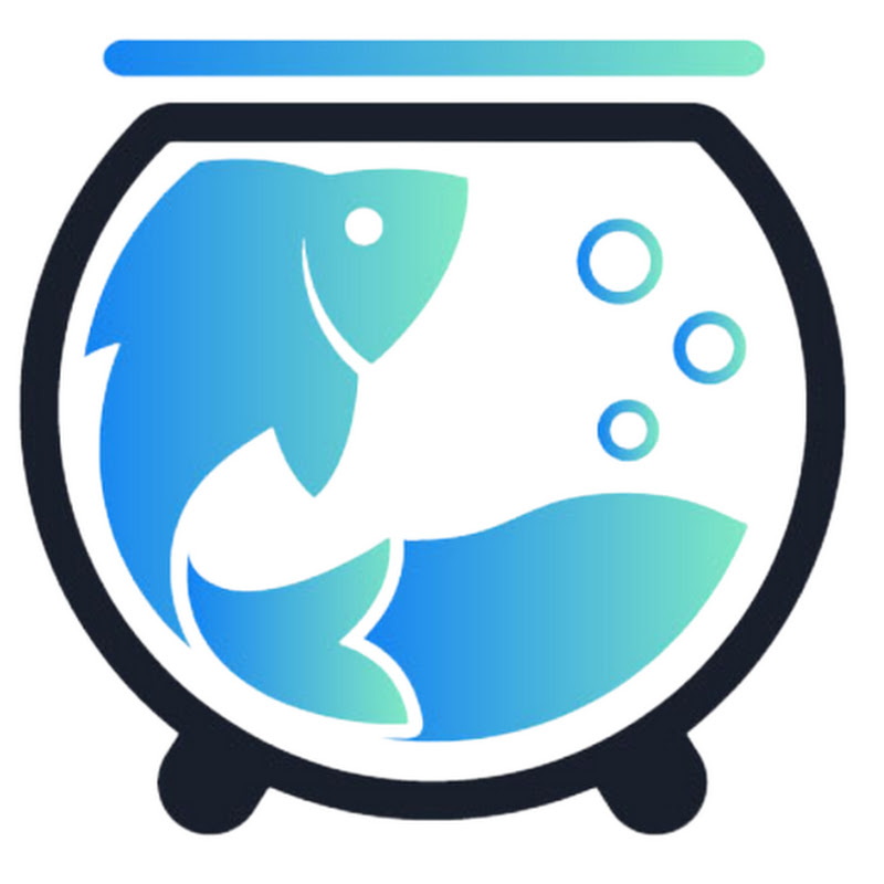 @glassboxdiaries | Glass Box Diaries | fishfam.link