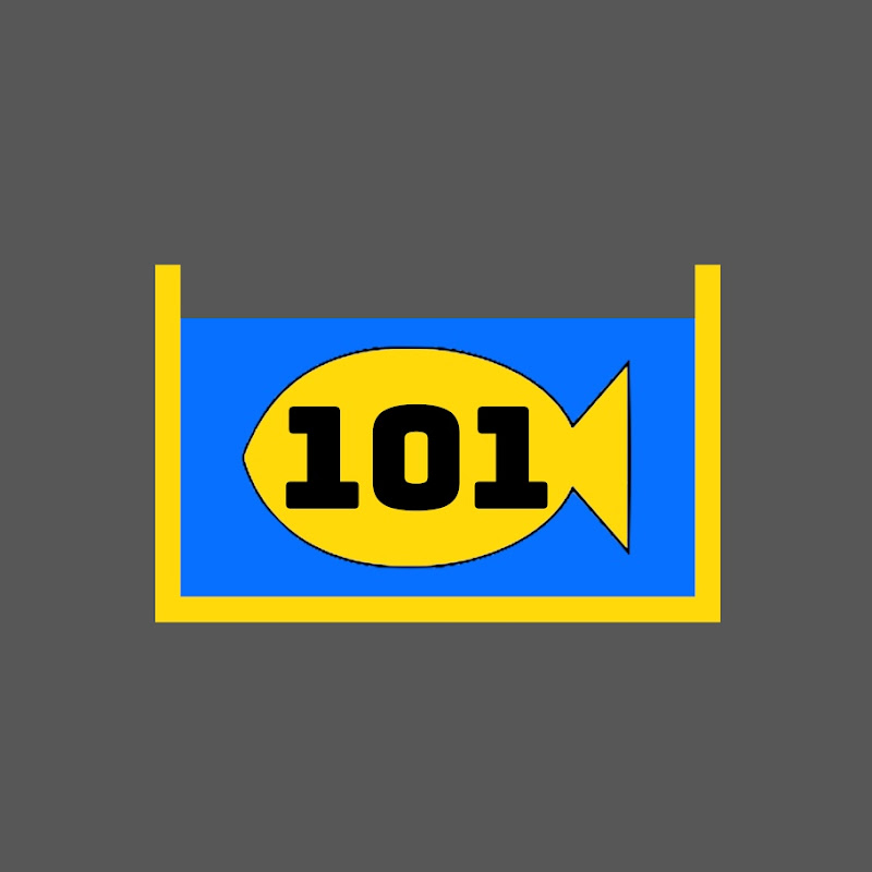 Aquascaping 101 | FishFam.link