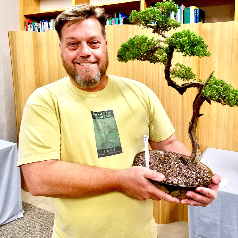 Budget Bonsai | FishFam.link