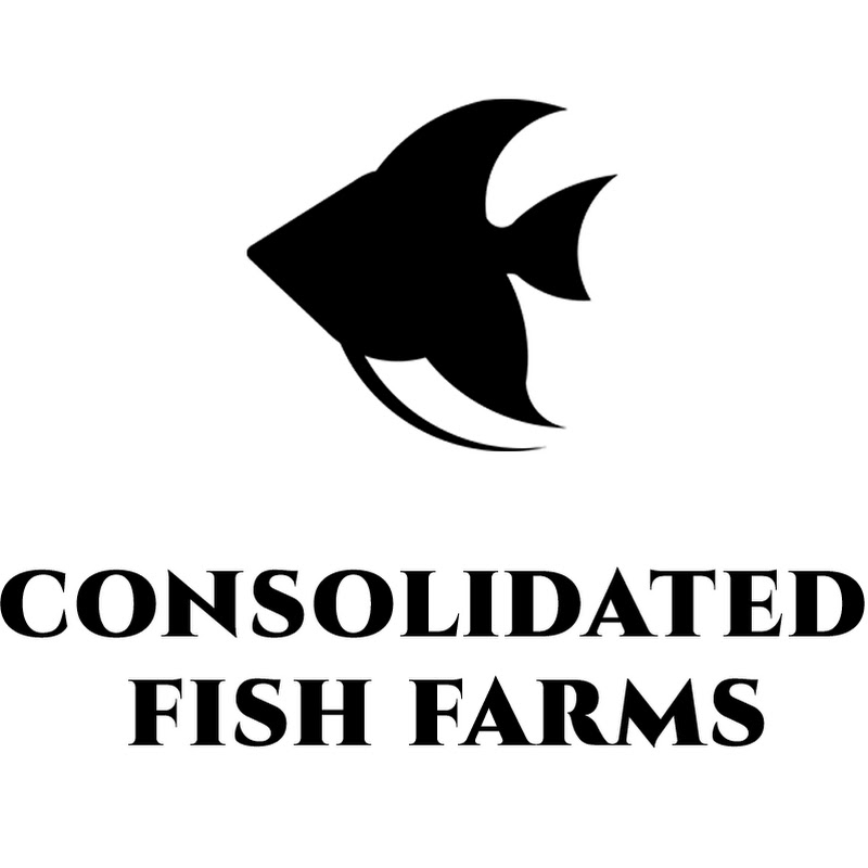 Consolidated Fish Farms | FishFam.link