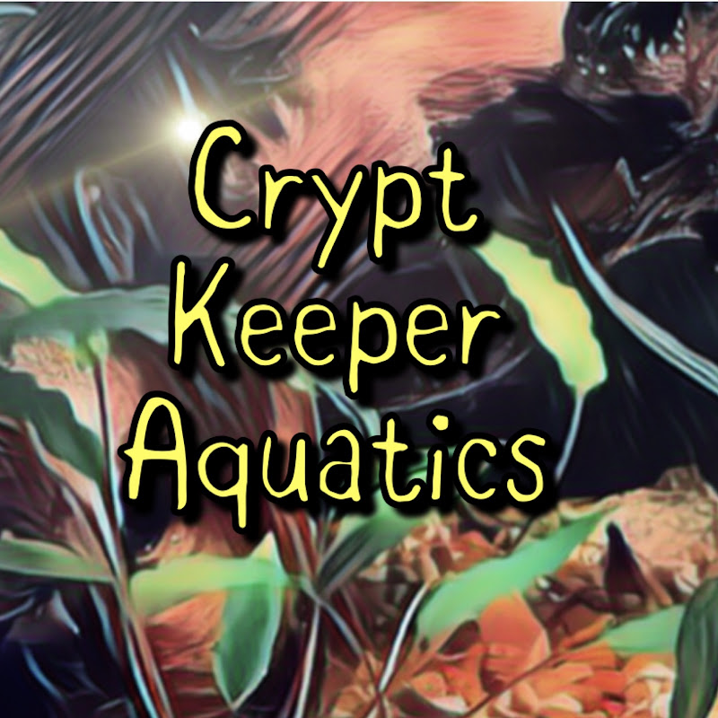 Crypt Keeper Aquatics | FishFam.link