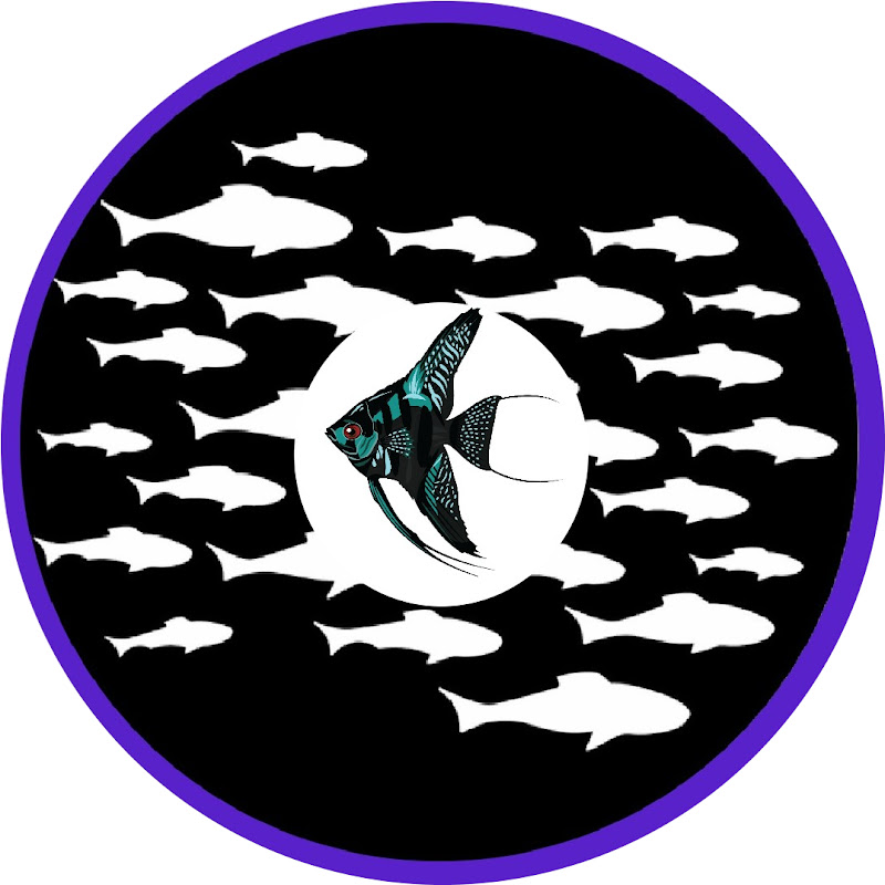 The Fish Guys | FishFam.link