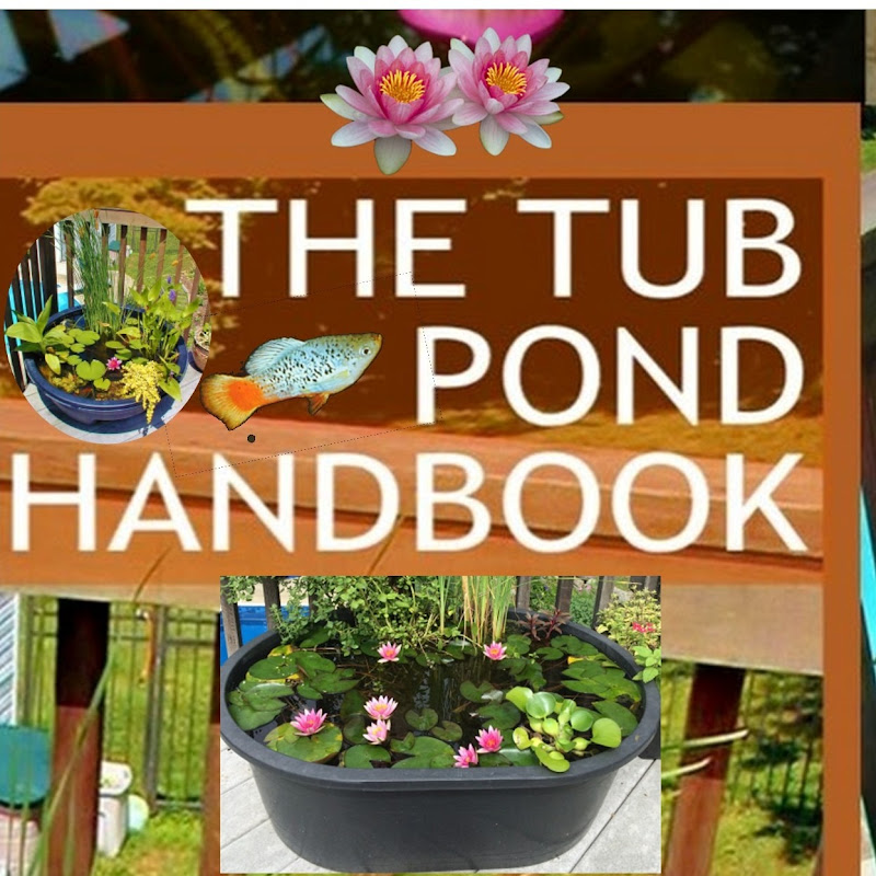 Dr. Ted and The Tub Pond Handbook | FishFam.link