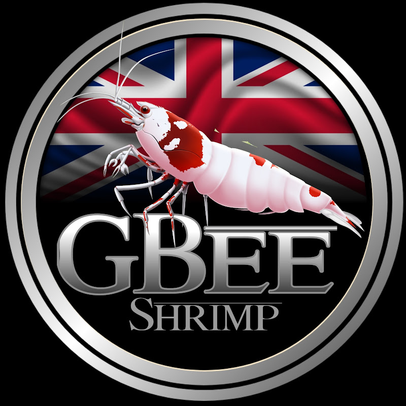 GBee Shrimp & Aquatics | FishFam.link