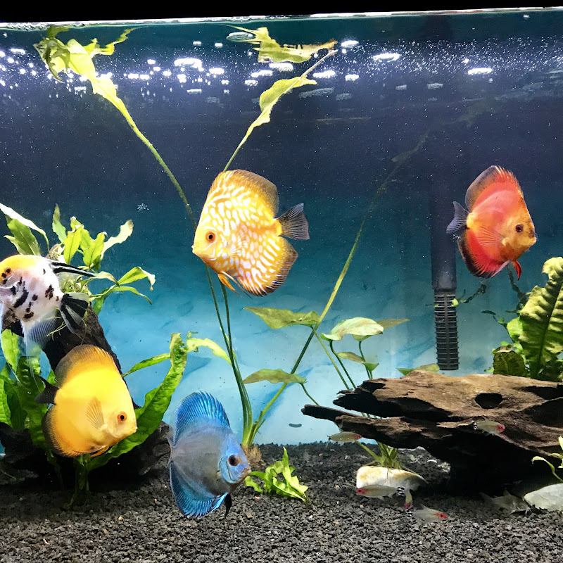 Maria Z | FishFam.link