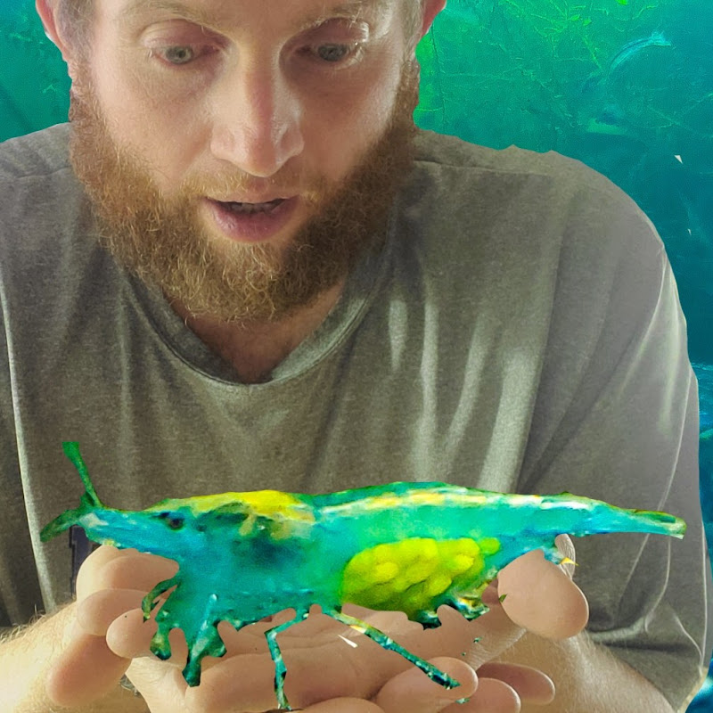 Mark Shelly Aquatics | FishFam.link