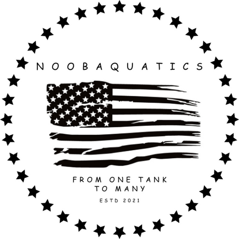NoobAquatics | FishFam.link