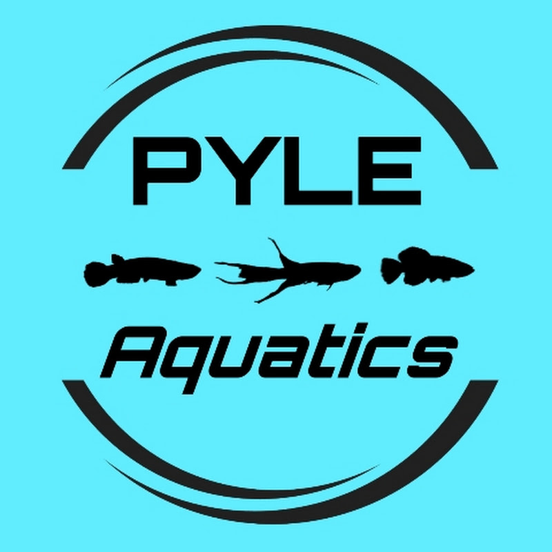 Pyle Aquatics | FishFam.link