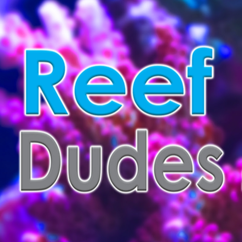 ReefDudes | FishFam.link
