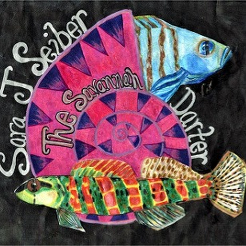 Sara The Savannah Darter | FishFam.link