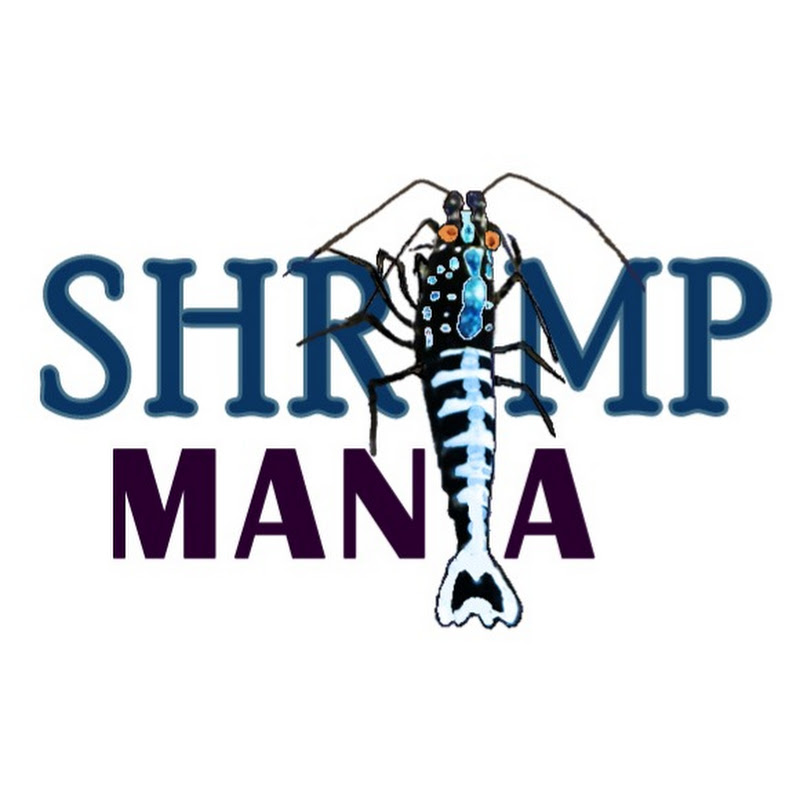 Shrimp Mania | FishFam.link