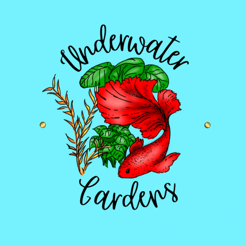 UnderwaterGardens | FishFam.link
