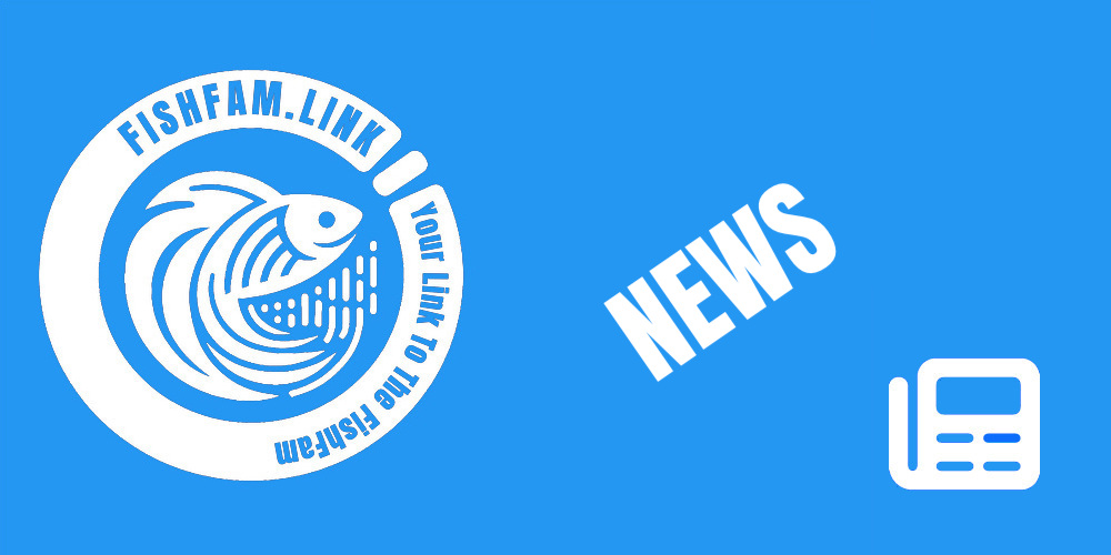 News from the FishFam | fishfam.link